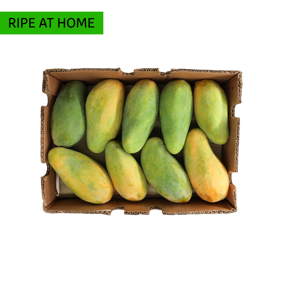Buy Sindhri Mango Box Online – Premium Pakistani Mangoes – Gulf Fruits