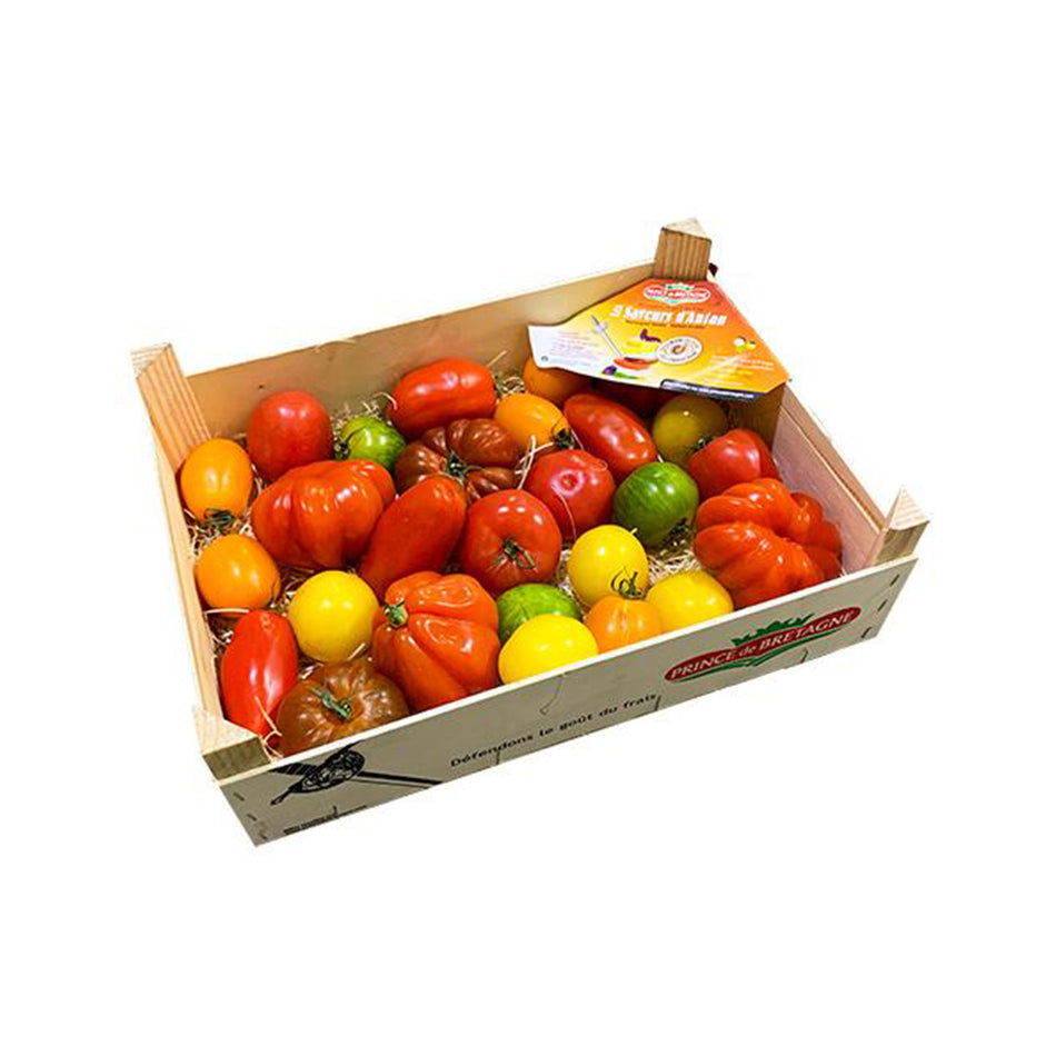 Buy Fresh Tomatoes Online in UAE – Cherry, Plum & Salad Varieties ...