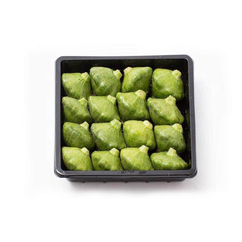Fresh Green Patty Pan Squash – Unique Shape & Flavor | UAE Delivery ...