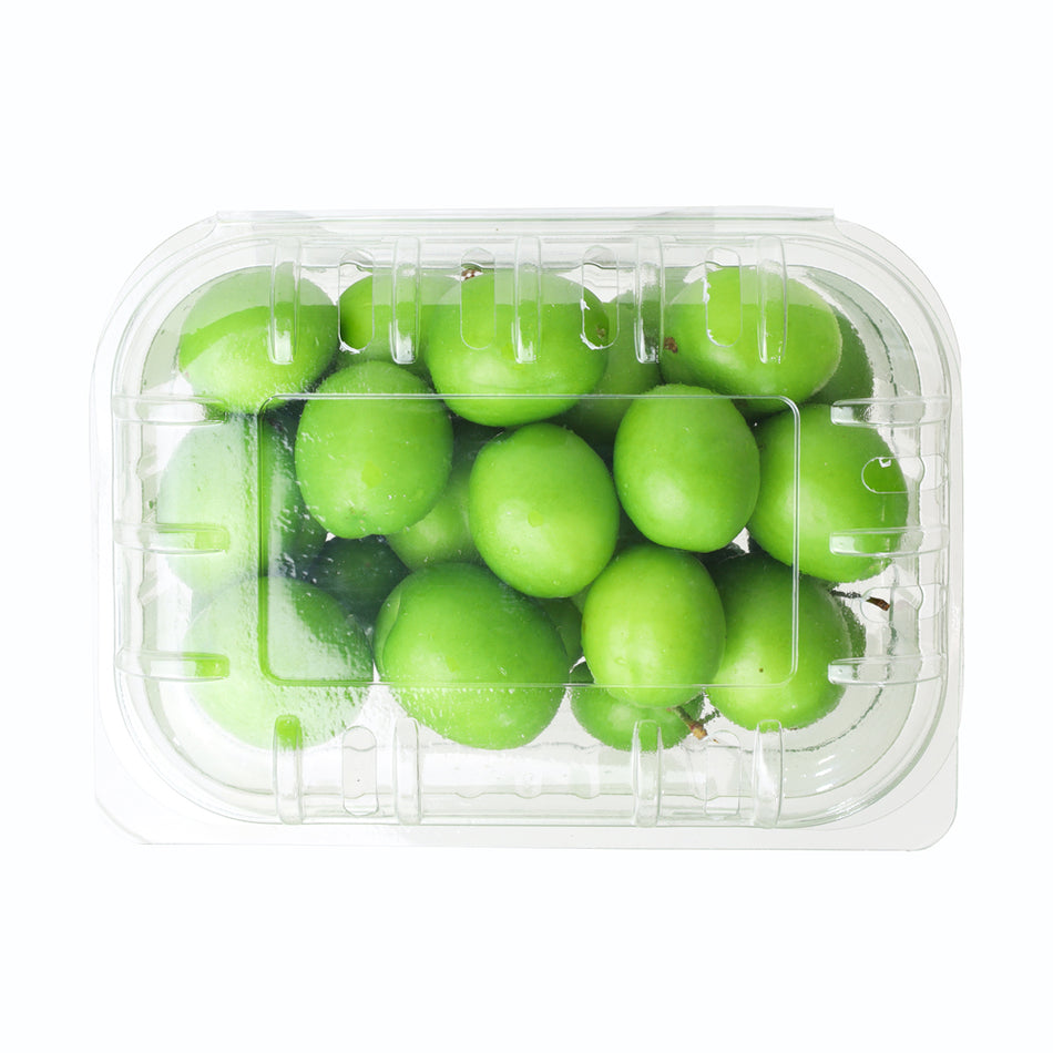 Buy Janerik Green Plums – Premium Fresh Fruits Online UAE – Gulf Fruits