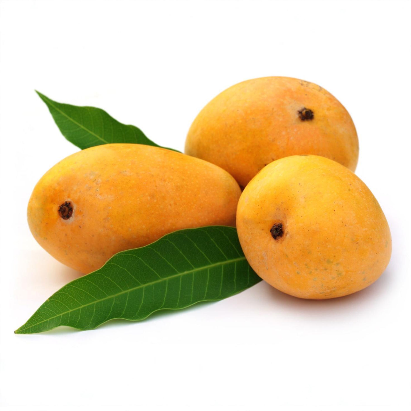 Buy Premium Mango Badami Online in UAE – Sweet & Aromatic – Gulf Fruits