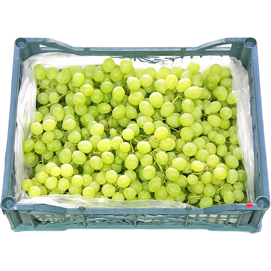 Buy Premium Red Seedless Grapes Box – Fresh Fruits Online UAE – Gulf Fruits